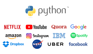 The rise of the Python programming language - Megatrend